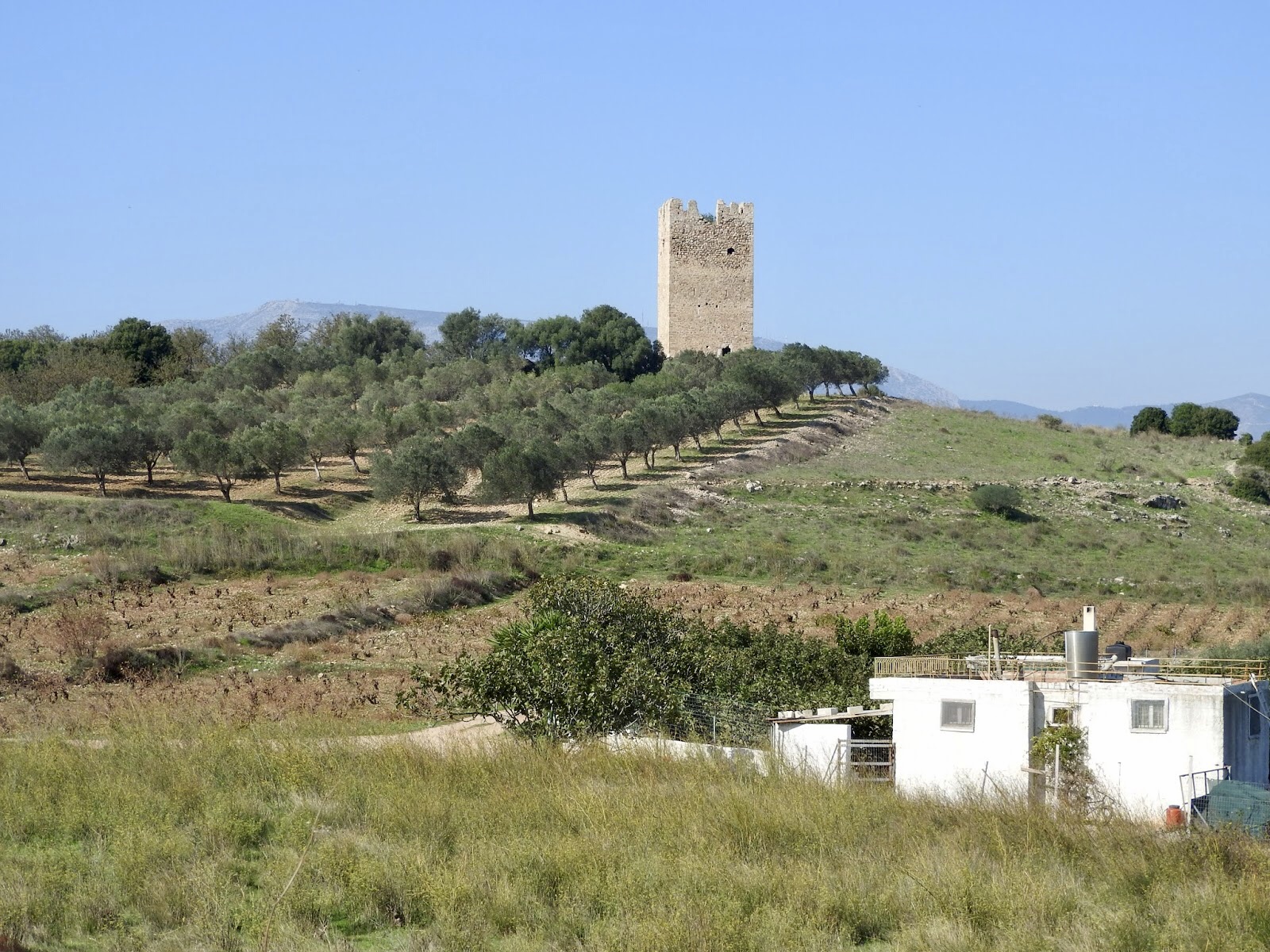 Museo Acrópolis de Atenas - GreciaTour.com
